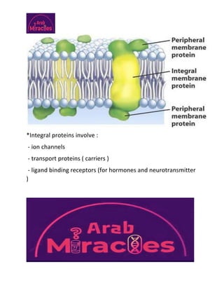 Cell membrane | PDF | Biological Sciences | Science