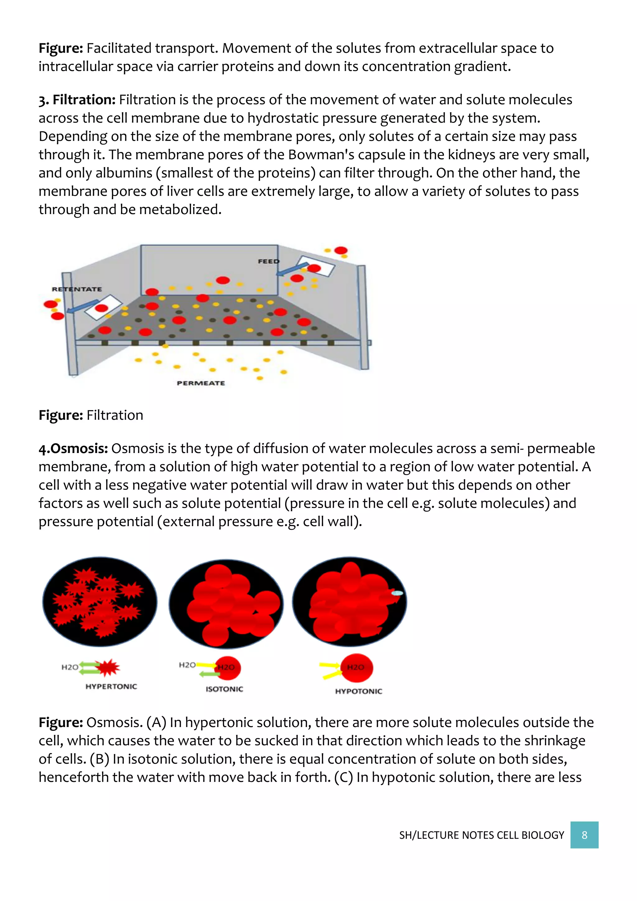 Cell membrane permeability and functions | PDF