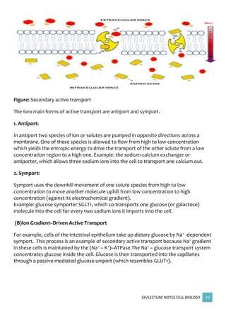 Cell membrane permeability and functions | PDF