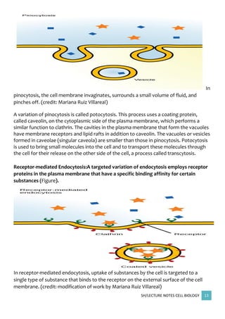 Cell membrane permeability and functions | PDF