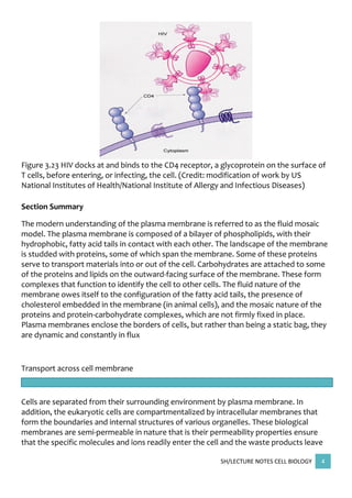 Cell membrane permeability and functions | PDF