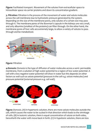 Cell membrane permeability and functions | PDF