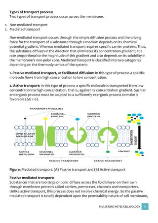 Selective Permeability