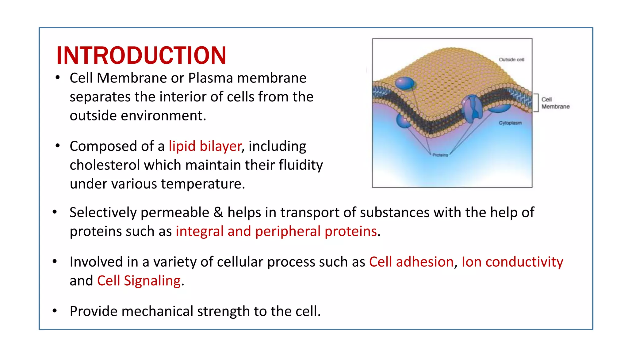 Cell membrane (Plasma Membrane) & Cellular Junctions | PPTX
