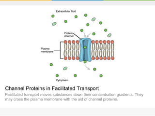 Cell membrane | PPTX