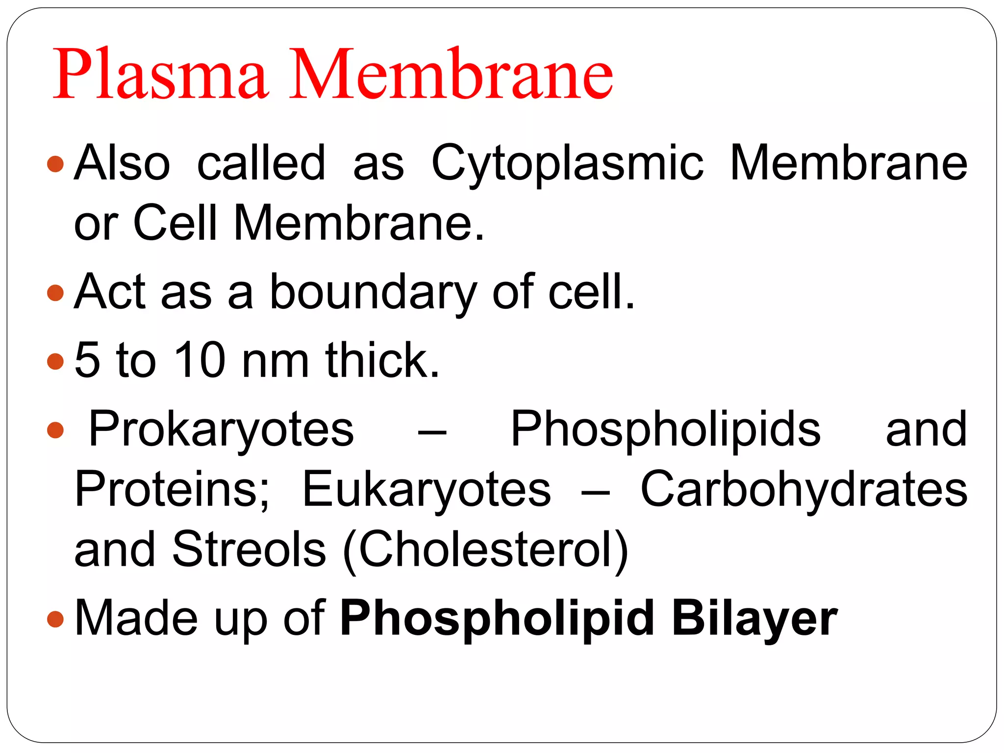 Plasma membrane | PPT