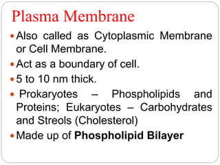 Plasma membrane | PPT
