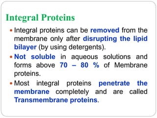 Plasma membrane | PPT
