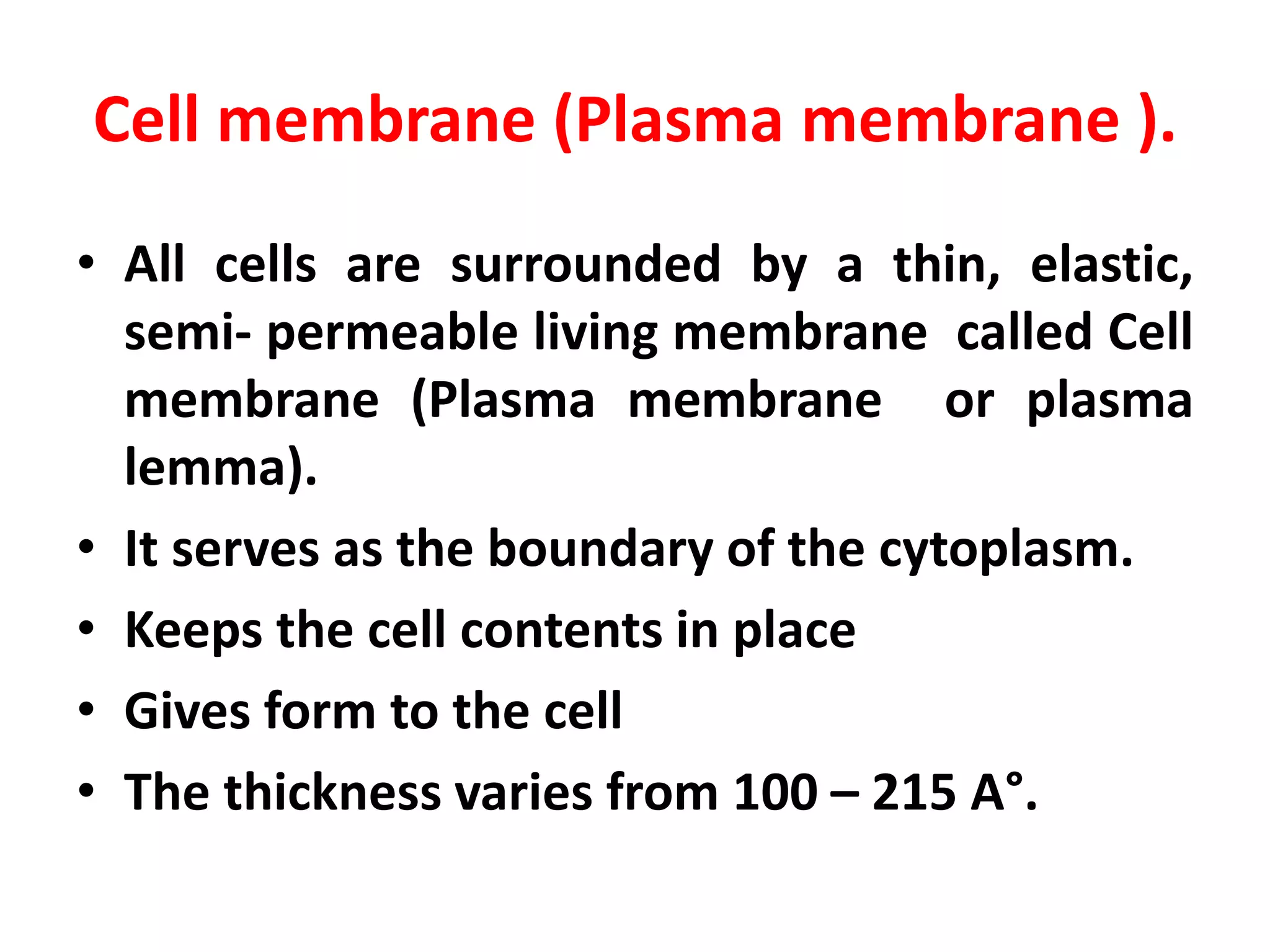 CELL MEMBRANE SMG | PPTX
