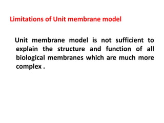 CELL MEMBRANE SMG | PPTX