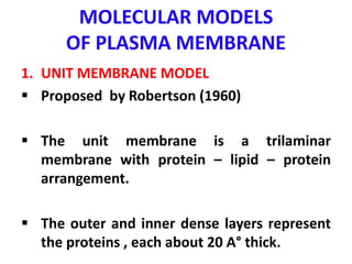 CELL MEMBRANE SMG | PPTX