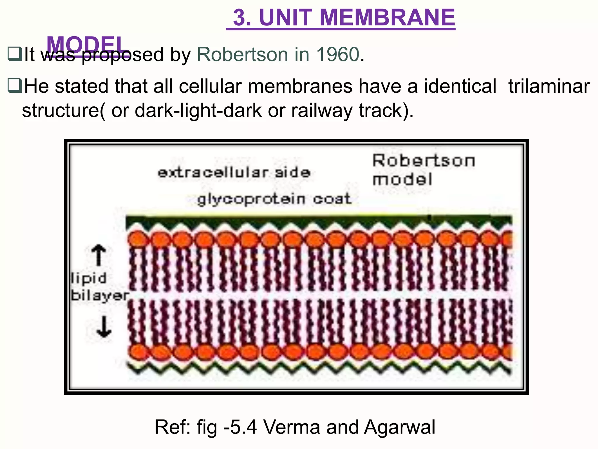Cell membrane | PPT
