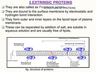 Cell membrane | PPT