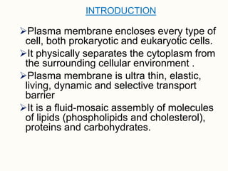Cell membrane | PPT