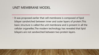 Cell membrane | PPT