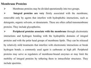 cell membrane.pptx
