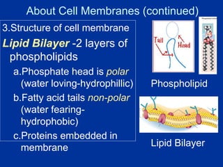 Cell Membrane.ppt