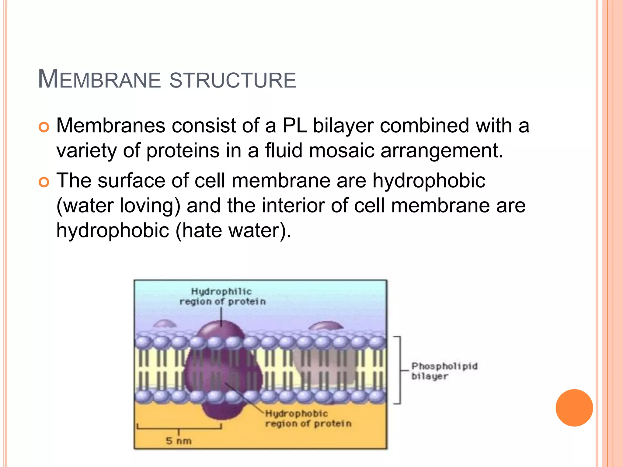 cell Membrane.pptx