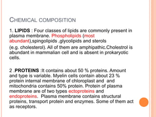cell Membrane.pptx