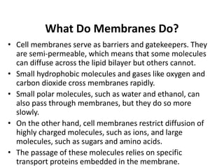 Cell Membrane.pptx