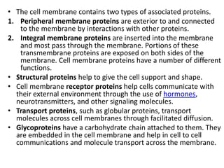 Cell Membrane.pptx