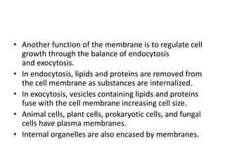 Cell Membrane.pptx
