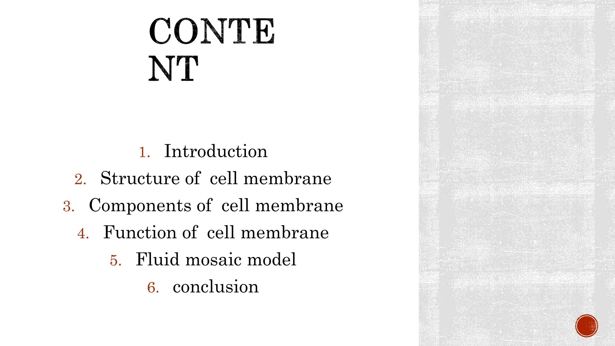 cell membrane simple presentation .pptx