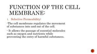 cell membrane simple presentation .pptx