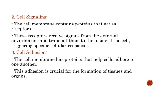 cell membrane simple presentation .pptx