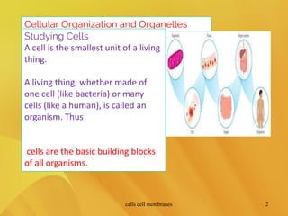 cell membrane .pdf