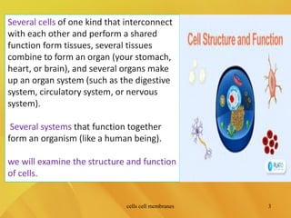 cell membrane .pdf