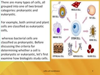 cell membrane .pdf