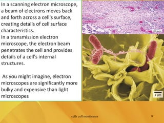 cell membrane .pdf