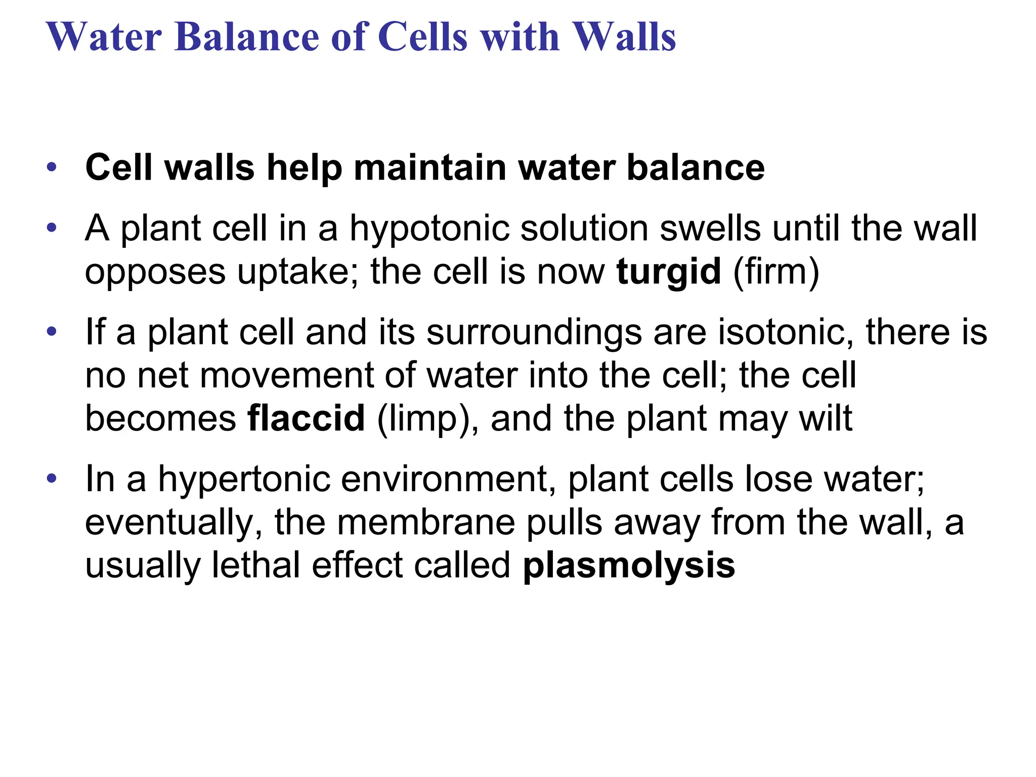 As level biology cell membrane chapter notes | PPT