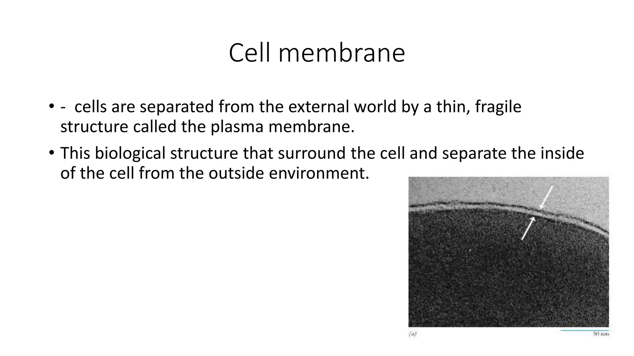 cell membrane structure and function in details | PPTX