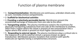 cell membrane structure and function in details | PPTX
