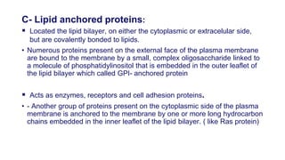 cell membrane structure and function in details | PPTX