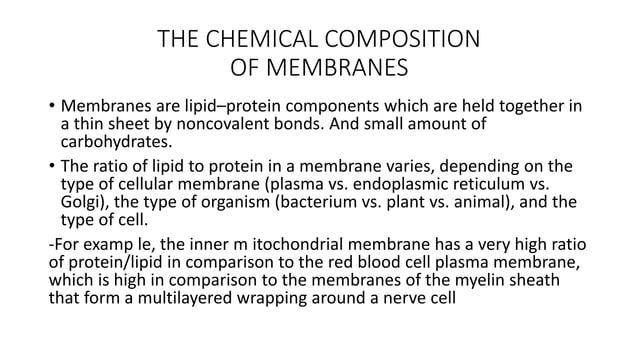 cell membrane structure and function in details | PPTX