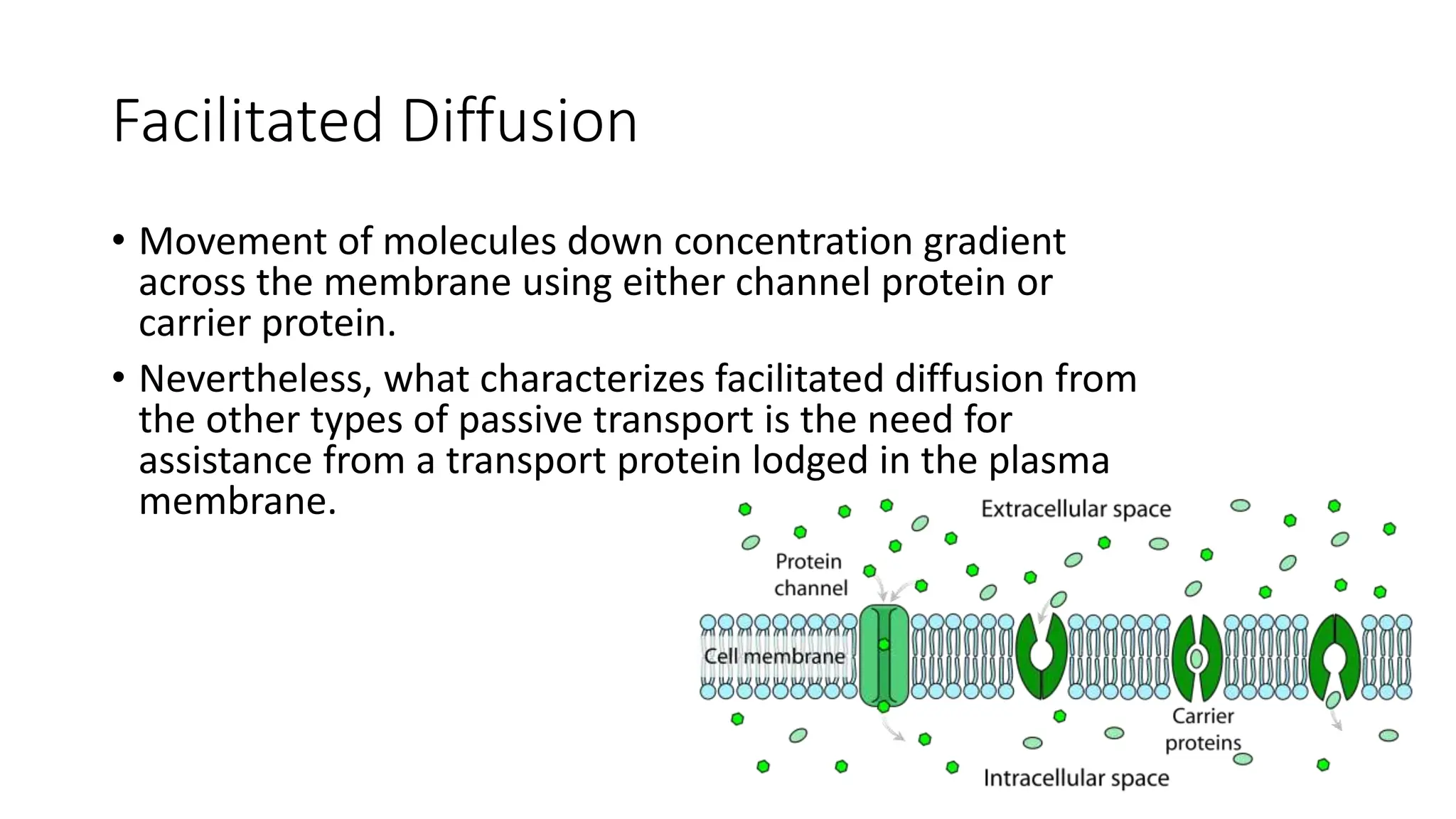 Edexcel IAS Biology Unit 1 Cell Membrane | PPTX