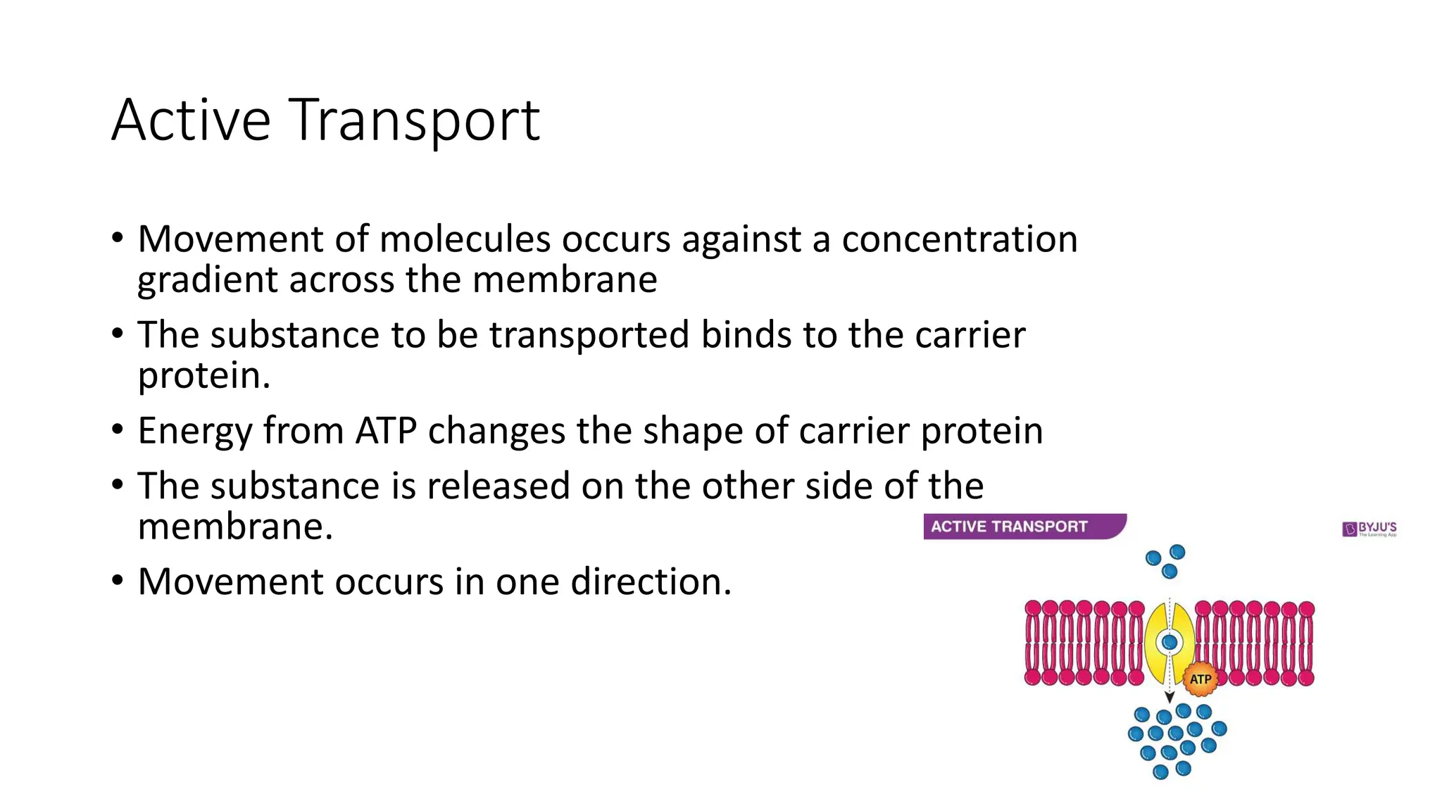Edexcel IAS Biology Unit 1 Cell Membrane | PPTX