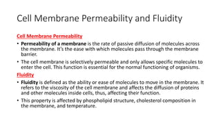 Edexcel IAS Biology Unit 1 Cell Membrane | PPTX