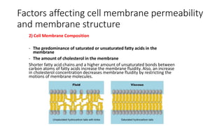 Edexcel IAS Biology Unit 1 Cell Membrane | PPTX