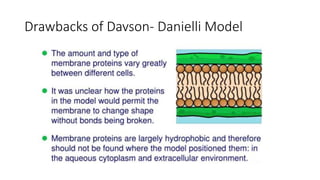 Edexcel IAS Biology Unit 1 Cell Membrane | PPTX