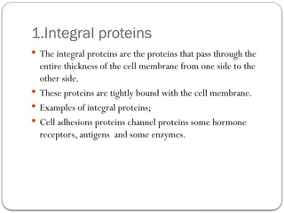 Cell membrane and it's structure and functions | PPT
