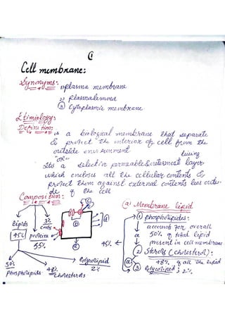 Structure and Function of the Human Cell membrane | PDF