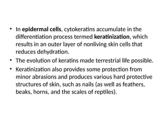 Cell membrane. Cytoskeleton-1.pptx histology | PPTX