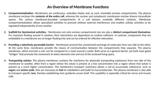 Cell membrane.pptx bsc biotechnology for study | PPTX