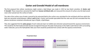 Cell membrane.pptx bsc biotechnology for study | PPTX