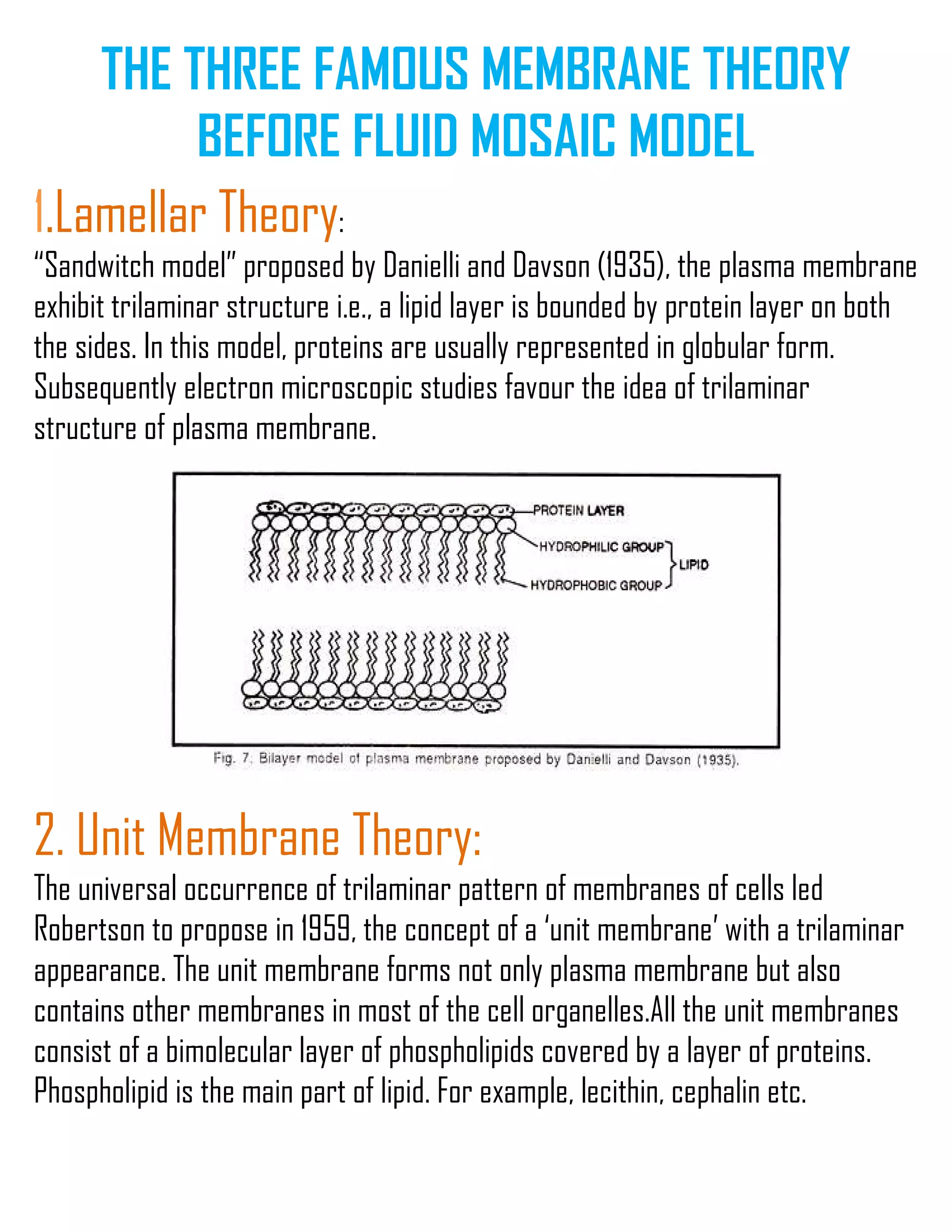 Cell membrane theories | PDF