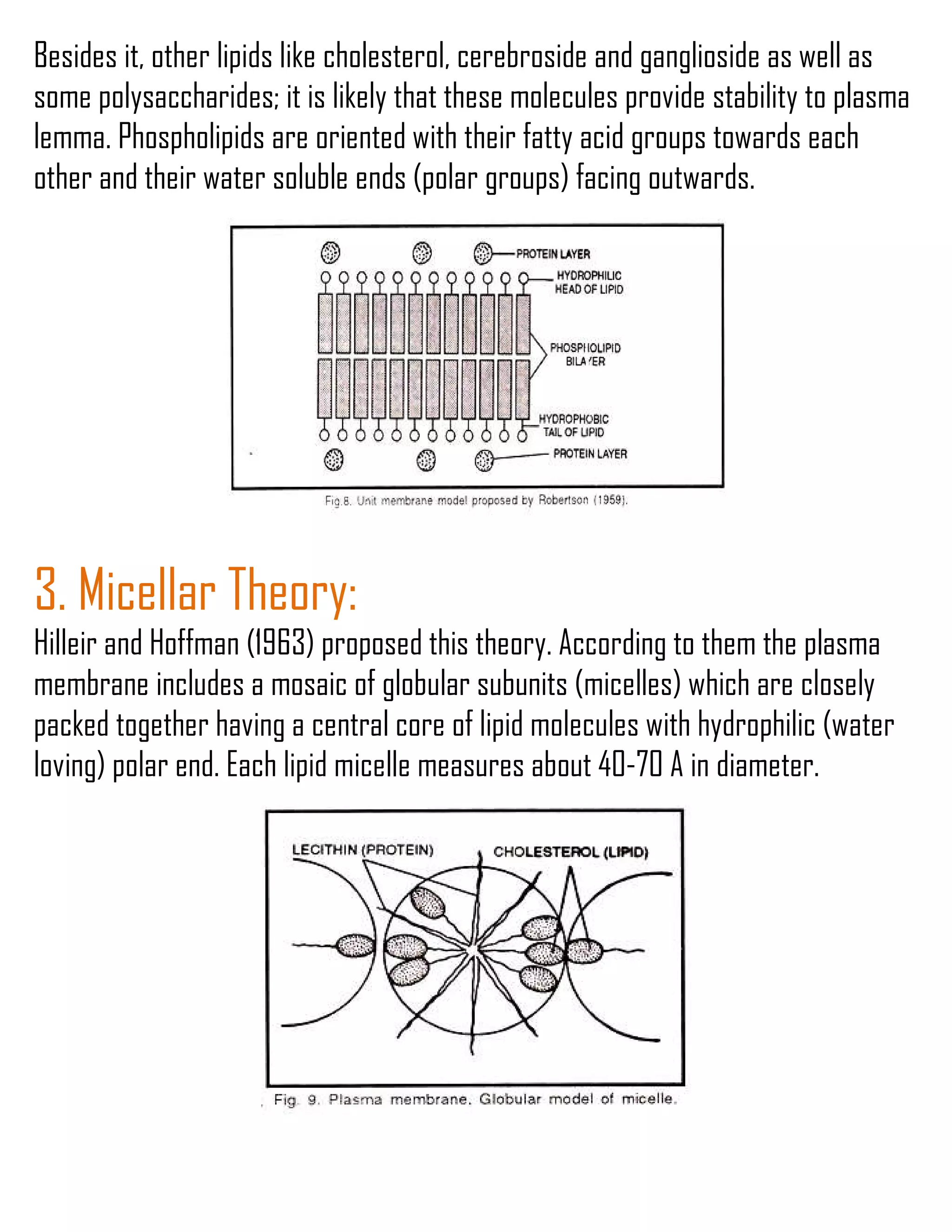 Cell membrane theories | PDF